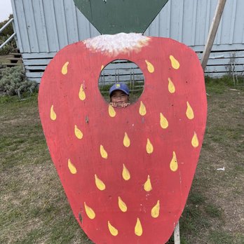 SWANTON BERRY FARM - Updated May 2024 - 1065 Photos & 509 Reviews - 25 ...