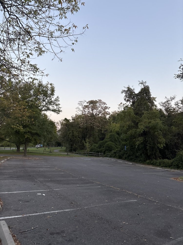 MASON DISTRICT PARK - Updated December 2025 - 38 Photos & 34 Reviews ...