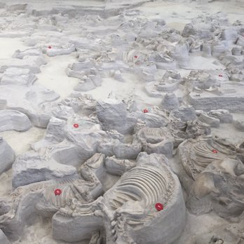 ASHFALL FOSSIL BEDS STATE HISTORICAL PARK - Updated October 2025 - 14 ...