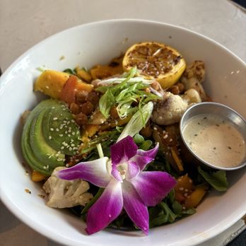 PACHA COLLECTIVE - Updated August 2025 - 139 Photos & 74 Reviews - 7119 ...