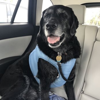 JAKE’S PET SUPPLY - Updated December 2025 - 47 Photos & 53 Reviews ...