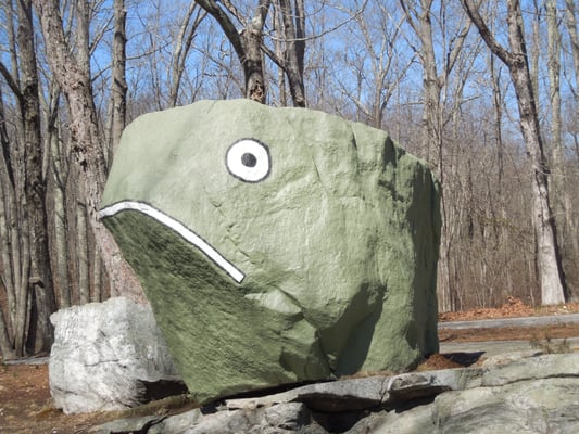 FROG ROCK - Updated August 2025 - 34 Photos & 18 Reviews - Pomfret Road ...