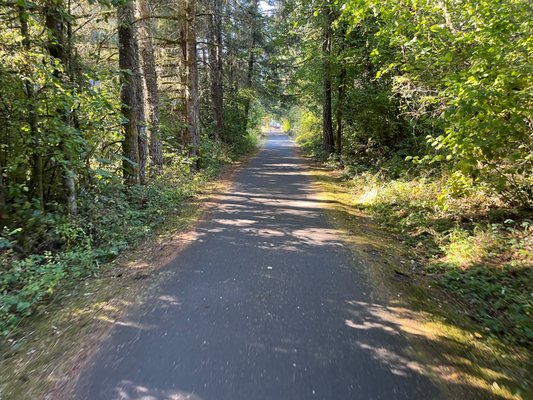 CHEHALIS WESTERN TRAIL - Updated August 2025 - 59 Photos & 10 Reviews ...