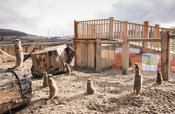 LEE VALLEY PARK FARMS - Updated July 2025 - 19 Photos - Stubbins Hall ...