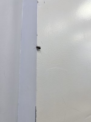 ANAHEIM CENTRAL LIBRARY - Updated December 2025 - 60 Photos & 68 ...