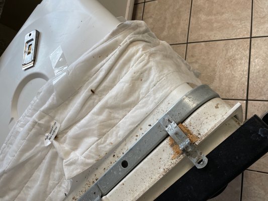 BERRETT PEST CONTROL - Updated October 2025 - 27 Photos & 206 Reviews ...