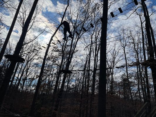 GO APE ZIPLINE & ADVENTURE PARK - Updated May 2026 - 74 Photos & 61 ...