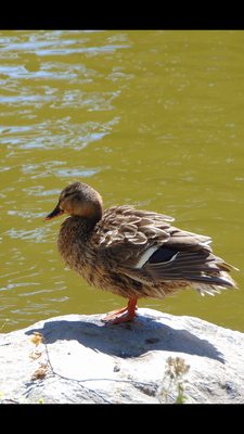 HILLSBORO PUBLIC LIBRARY - Updated May 2025 - 67 Photos & 54 Reviews ...