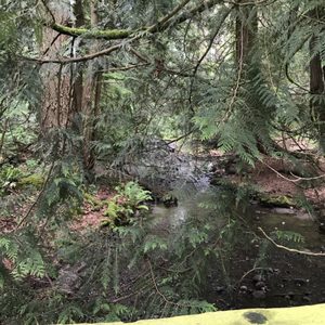 EDITH MOULTON PARK - 49 Photos & 18 Reviews - Parks - 13634 108th Ave ...