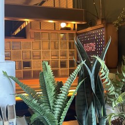 ELECTRIC SHUFFLE AUSTIN - Updated November 2024 - 210 Photos & 118 ...