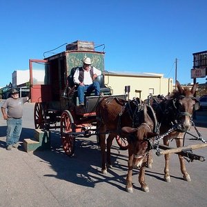 OLD BUTTERFIELD STAGECOACH TOURS - 14 Reviews - Allen St, Tombstone ...