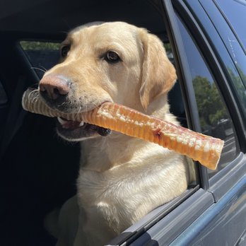 PETSMART - Updated October 2025 - 59 Photos & 135 Reviews - 575 Rohnert ...