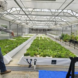 TIMBERVIEW FARMSTEAD - Updated December 2025 - 71 Photos - 4274 ...