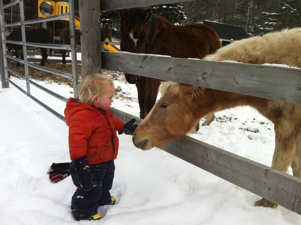 MAPLE VALLEY RANCH - Updated October 2025 - 1690 Beatrice Townline Road ...