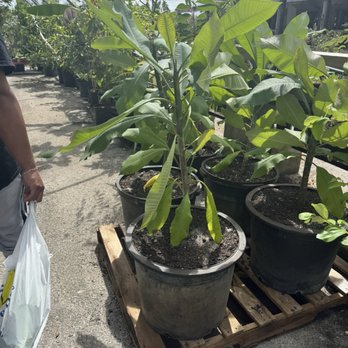 MARANDO FARMS & RANCH - Updated September 2025 - 353 Photos & 123 ...