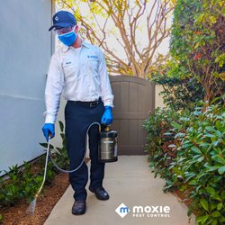 MOXIE PEST CONTROL DENVER - 60 Photos & 201 Reviews - 3545 S Platte ...