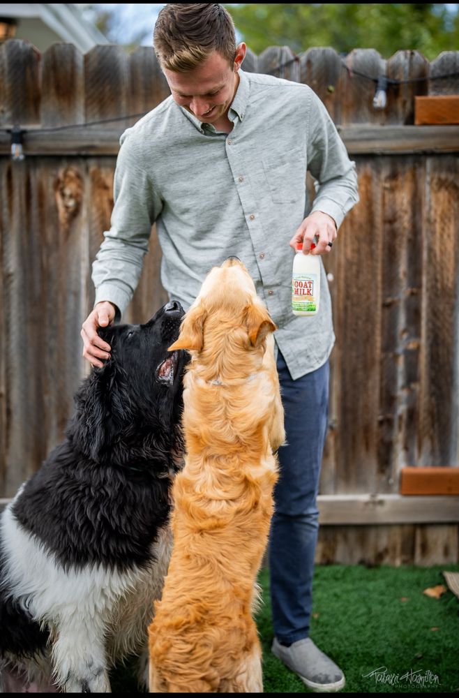 PREPPY PAWS - Updated October 2025 - 20 Photos - 90 W 100th N ...