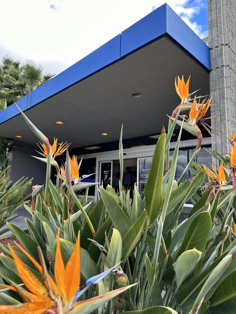 US POST OFFICE - Updated December 2025 - 34 Photos & 117 Reviews - 4150 ...