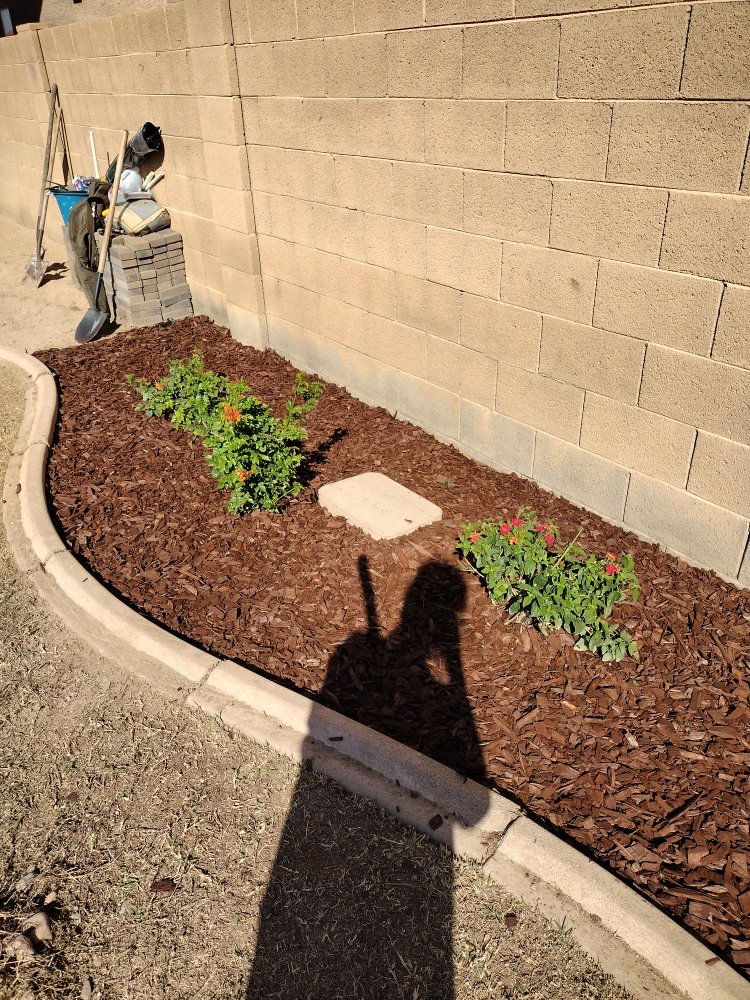 LEON LANDSCAPING - Updated July 2025 - Phoenix, Arizona - Landscaping ...