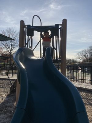 TURTLE PARK - Updated November 2024 - 45 Photos - 45th St & Van Ness St ...