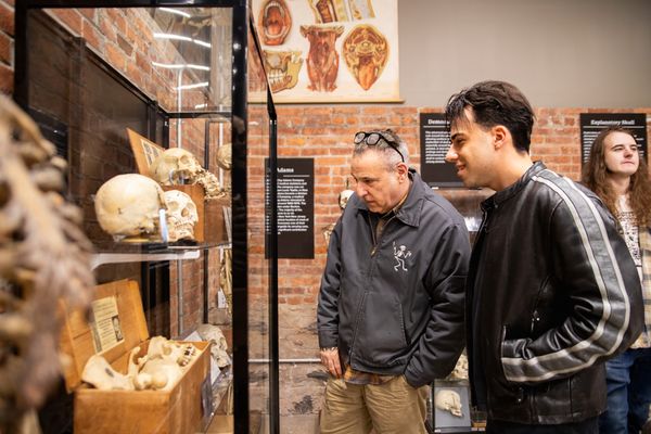 THE BONE MUSEUM - Updated December 2025 - 44 Photos & 22 Reviews - 255 ...