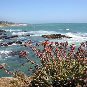 LEFFINGWELL LANDING - Updated October 2025 - 153 Photos & 18 Reviews ...