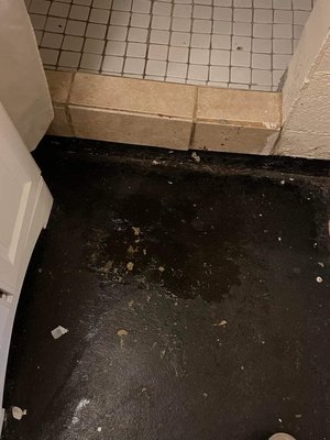 PORTLAND PENSIONE - 26 Photos & 41 Reviews - 109 NE San Rafael St ...