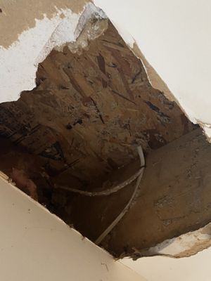 ARTERIX PEST CONTROL - Updated December 2025 - 36 Photos & 223 Reviews ...