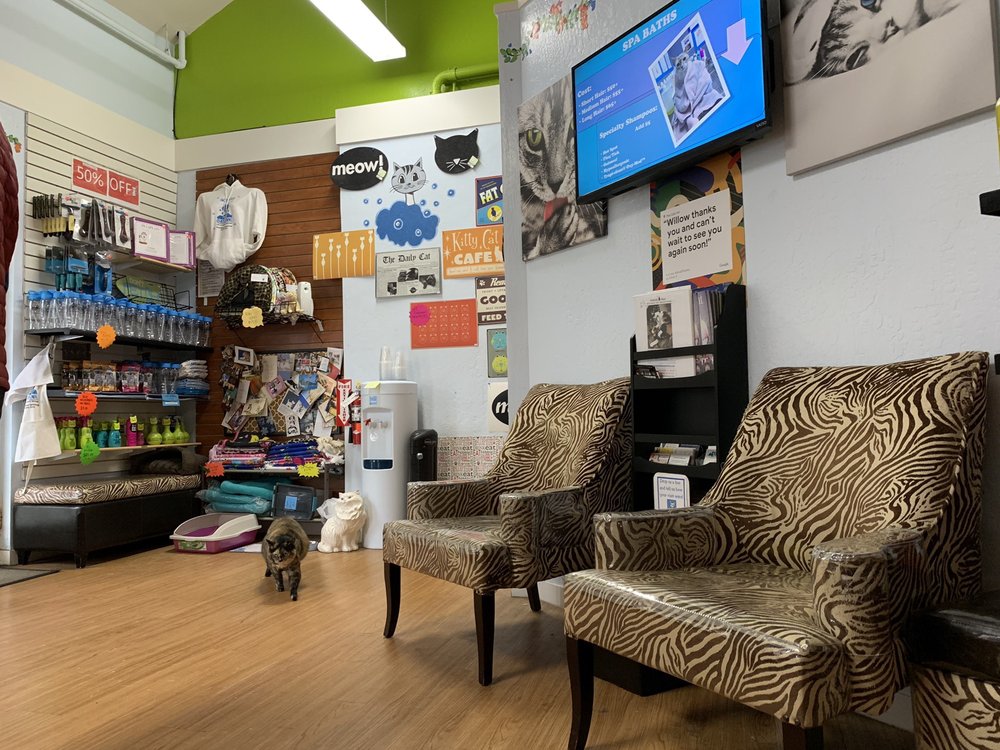 THE CATS’ INN - 86 Photos & 211 Reviews - 880 Old County Rd, Belmont ...