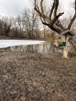 ELLISON PARK - 68 Photos & 29 Reviews - Parks - 395 Richs Dugway Rd ...