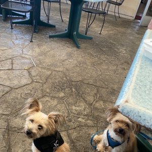 CHIPS - 157 Photos & 144 Reviews - Hawthorne, California - American ...