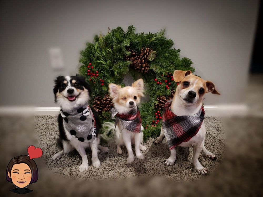 TARGET - Updated December 2025 - 1874 Photos & 395 Reviews - 1450 Ala ...