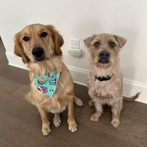 RUFF HOUSING CARY - Updated June 2025 - 10 Photos & 14 Reviews - 1605 ...