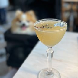 ALORA - Updated October 2025 - 469 Photos & 130 Reviews - Pier 3, San ...