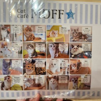 CAT CAFE MOFF PEARLRIDGE CENTER - Updated December 2024 - 45 Photos & 16 Reviews - 98 - 1005 ...