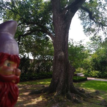 LAFAYETTE MUSEUM ALEXANDRE MOUTON HOUSE - Updated April 2026 - 43 ...