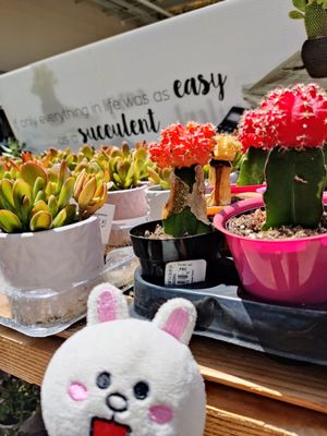 THE HOME DEPOT - Updated November 2025 - 443 Reviews & 1113 Photos - 1021 Kamehameha Hwy, Pearl ...