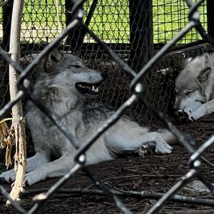 BOUNDLESS PLAYSCAPE AND ACTIVITY CENTER - Updated June 2025 - 3825 ...