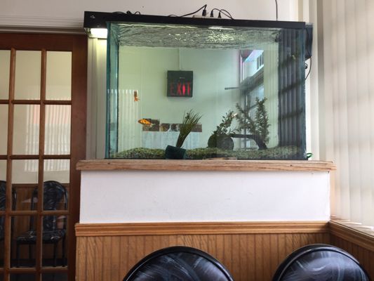 CHINA CHEF - Updated October 2025 - 22 Photos & 28 Reviews - 9267 Wayne ...