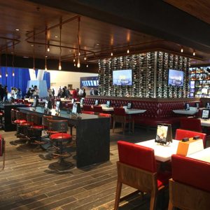 TACHUS - Updated October 2025 - 16 Reviews - 3831 Technology Forest ...