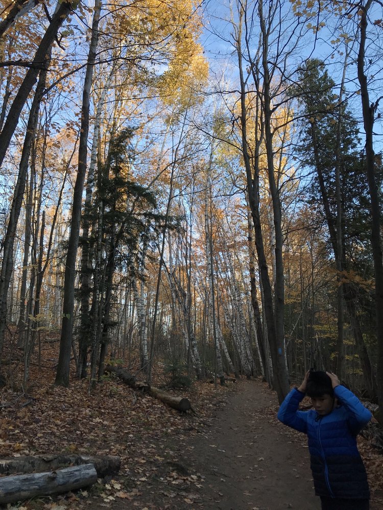MONO CLIFFS PROVINCIAL PARK - Updated October 2024 - 88 Photos & 10 ...