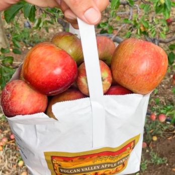 VOLCAN VALLEY APPLE FARM - Updated December 2025 - 260 Photos & 138 ...