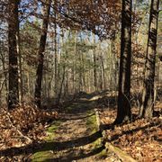 SAUNDERS SPRINGS NATURE PRESERVE - 118 Photos & 17 Reviews - Parks - N ...