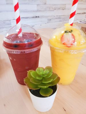 FRESCA VIDA FLORIDA - 96 Photos & 94 Reviews - 1757 Clearwater Largo Rd ...