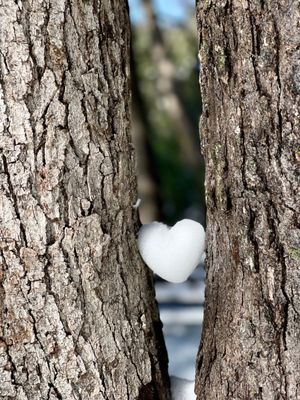 WILLIAM HEISE COUNTY PARK - Updated January 2026 - 322 Photos & 172 ...