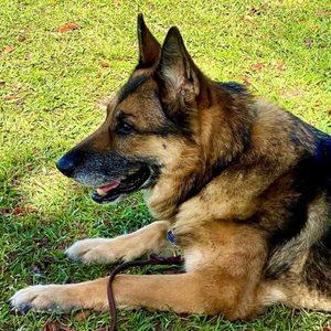 METAIRIE SMALL ANIMAL HOSPITAL - Updated December 2025 - 28 Photos ...