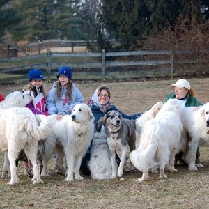 HUMANE LEAGUE OF LANCASTER COUNTY - Updated April 2025 - 12 Reviews ...