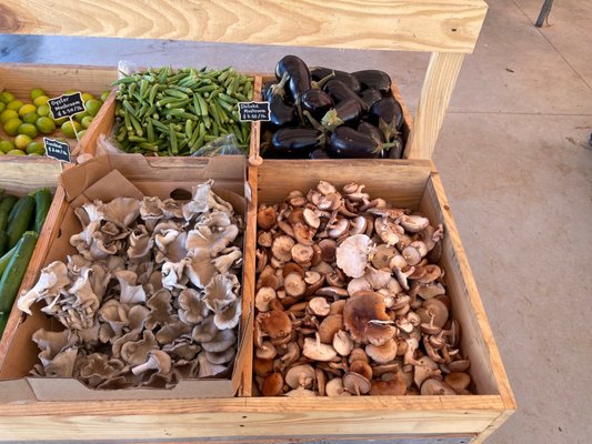 ATLANTA HARVEST OPEN MARKET & NURSERY - Updated October 2025 - 132 ...