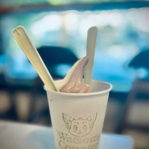 THE ICE BOX ARCADE - Updated December 2024 - 110 Photos & 42 Reviews ...