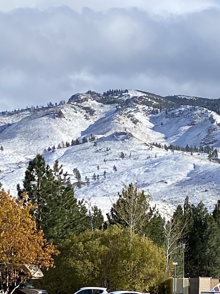 GOLD RANCH RV RESORT - Updated October 2025 - 61 Photos & 50 Reviews ...